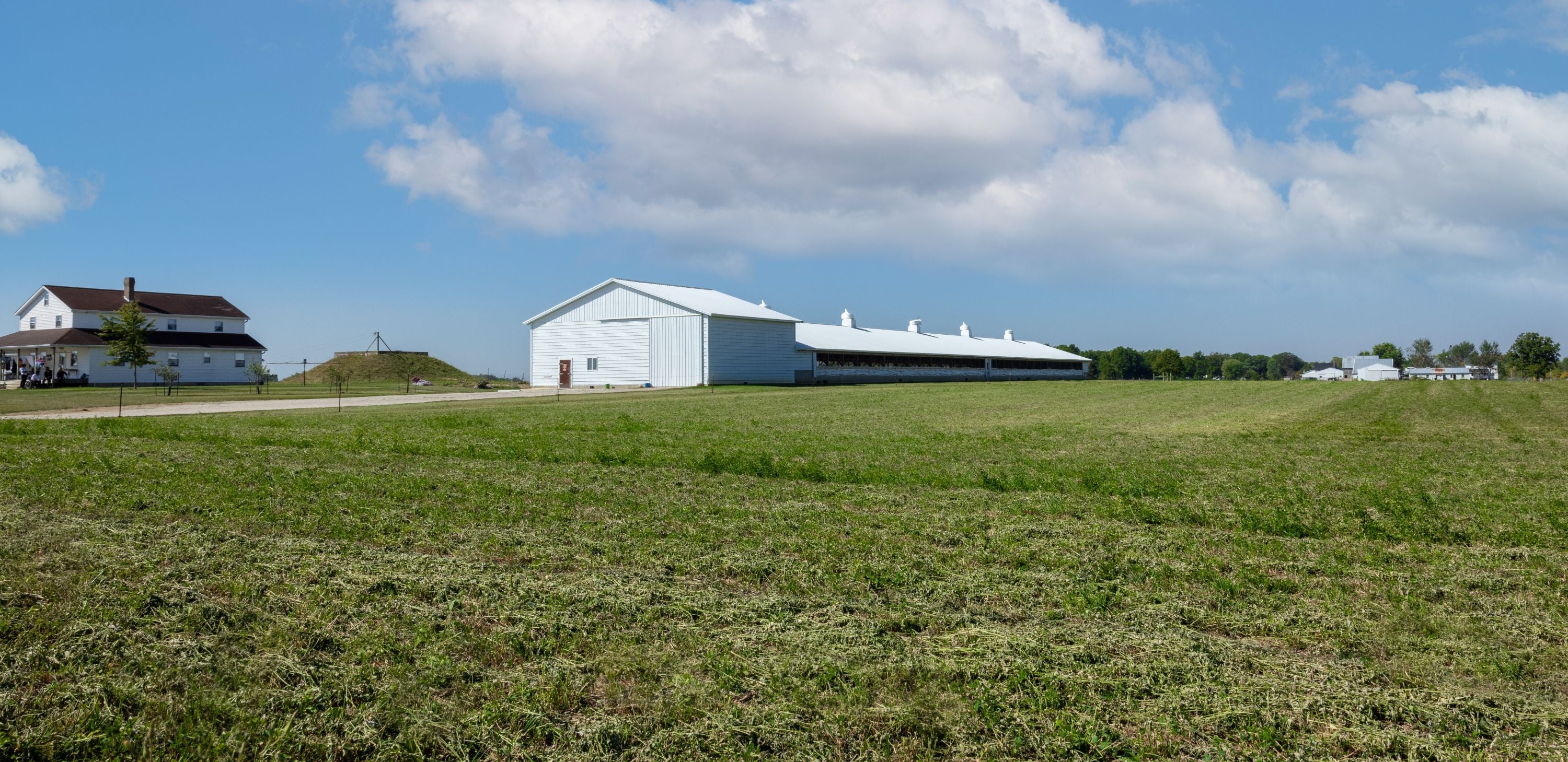 Maple Leaf Farms | Understanding Barn Raised Poultry and Ethical ...